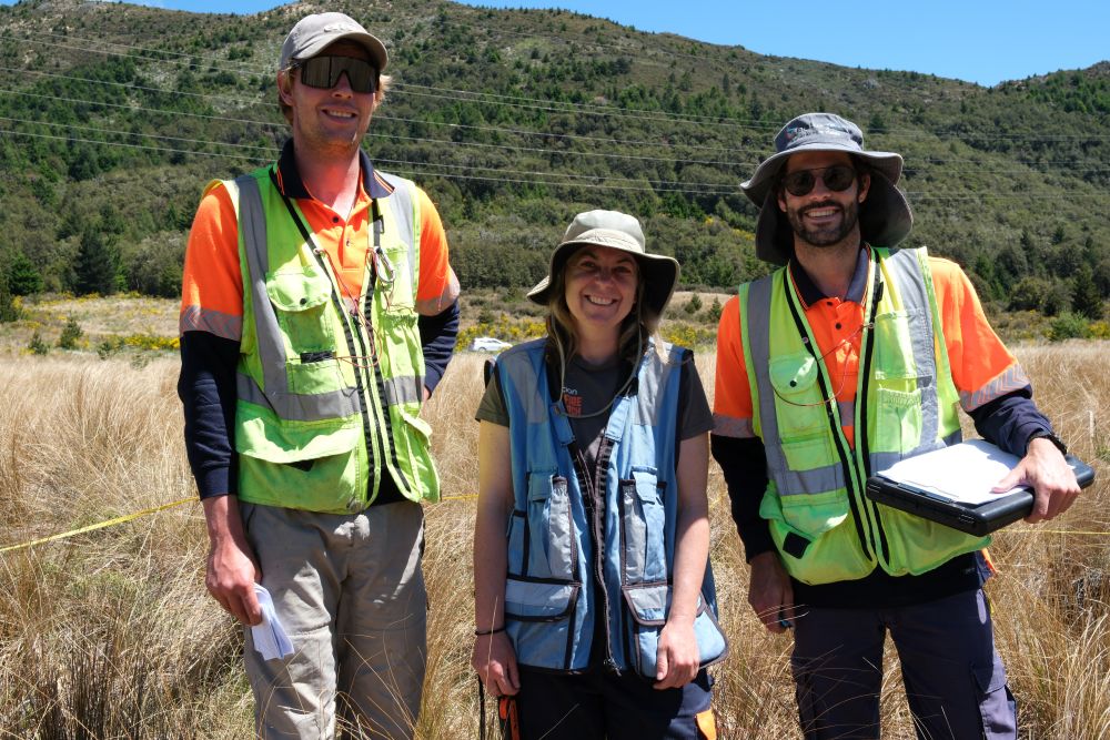 New advances in remote sensing for fire risk management | Bioeconomy ...